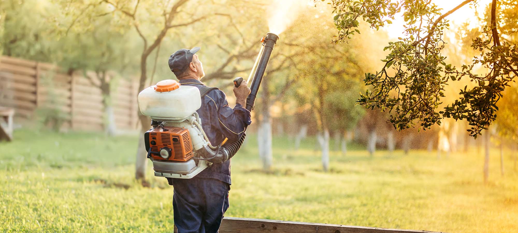 Pest Control for Businesses In South Carolina - Why You Need It