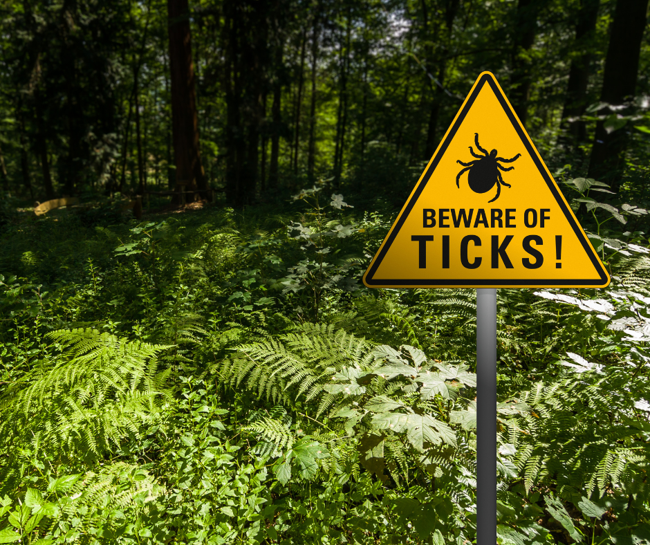 Ticks on the Move: How to Safeguard Your Yard, Playground, or Outdoor ...